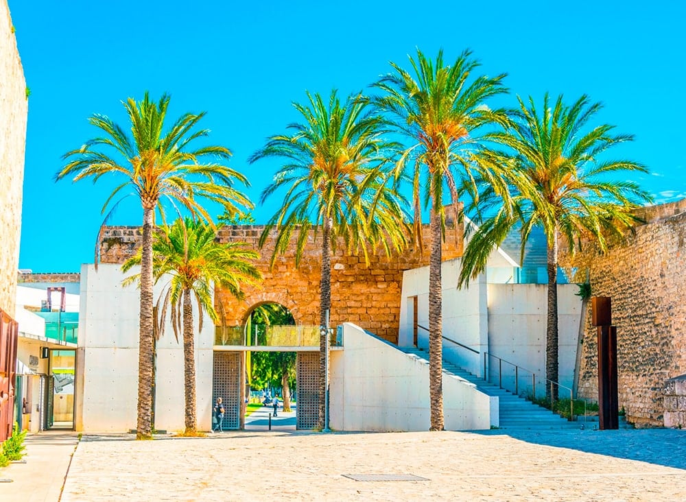 QUÉ VER en PALMA DE MALLORCA, ¡para alucinar! ️